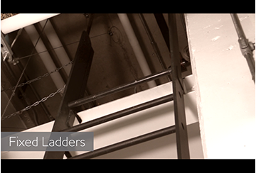 Training — Department of Environmental Health and Safety