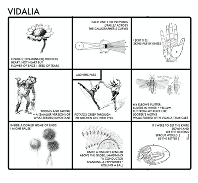 Vidalia — Miracle Monocle